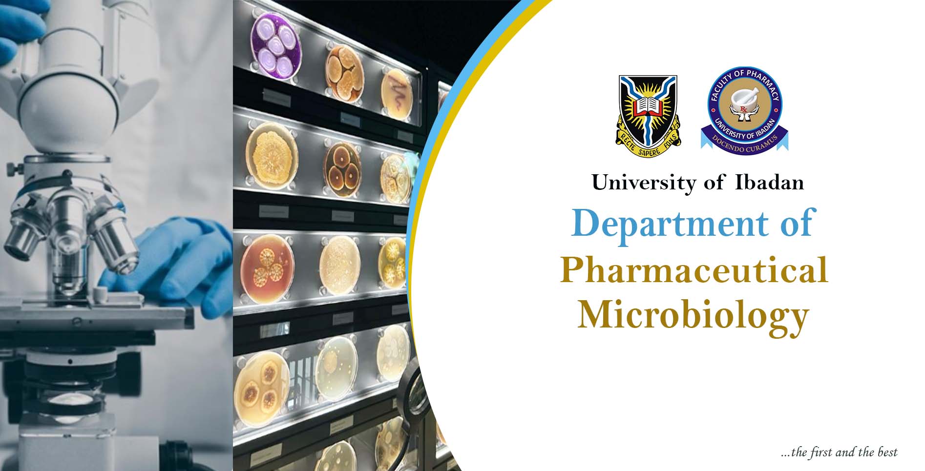 Pharmaceutical Microbiology & Biotechnology | Pharmacy